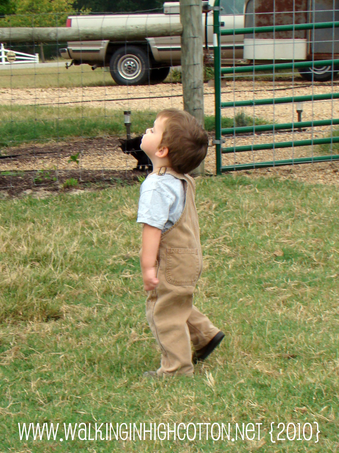 Bad Habits » Walking in High Cotton