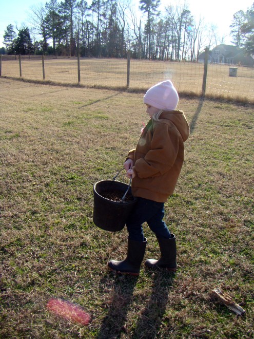 Lessons in Chores » Walking in High Cotton