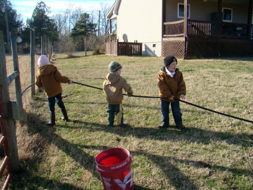 Lessons in Chores » Walking in High Cotton