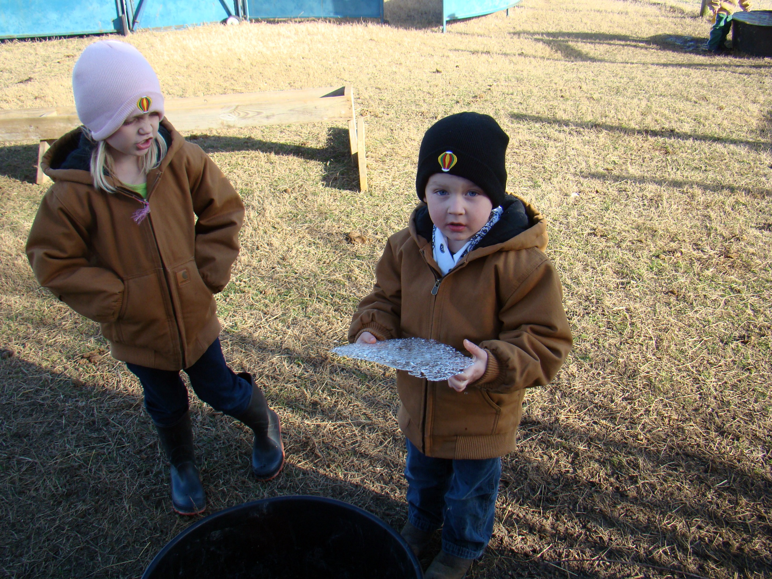 Lessons in Chores » Walking in High Cotton