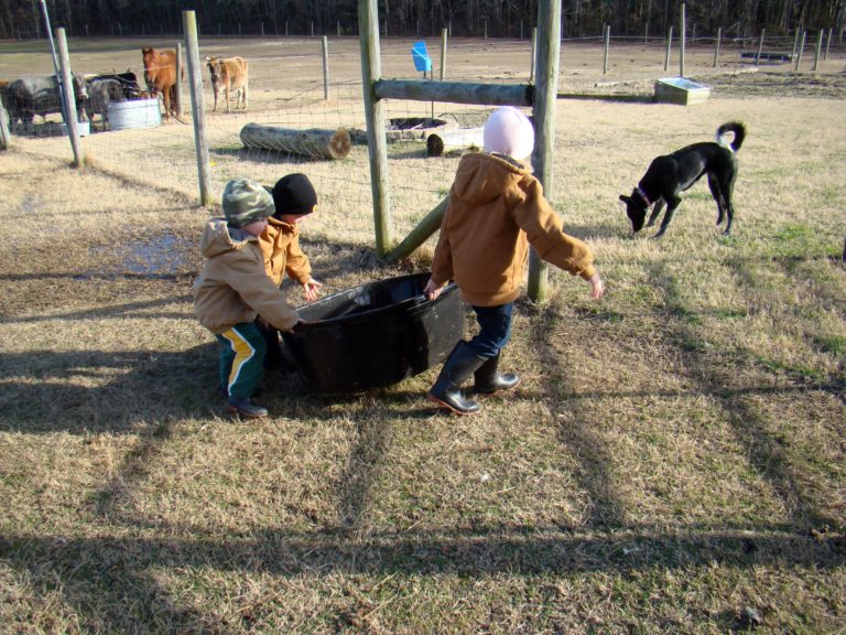 Lessons in Chores » Walking in High Cotton