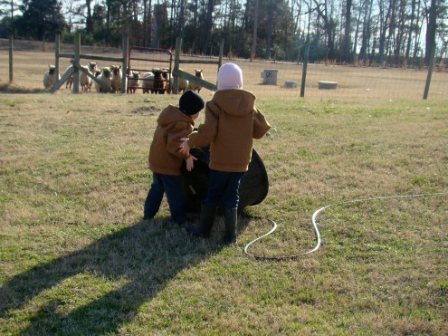 Lessons in Chores » Walking in High Cotton