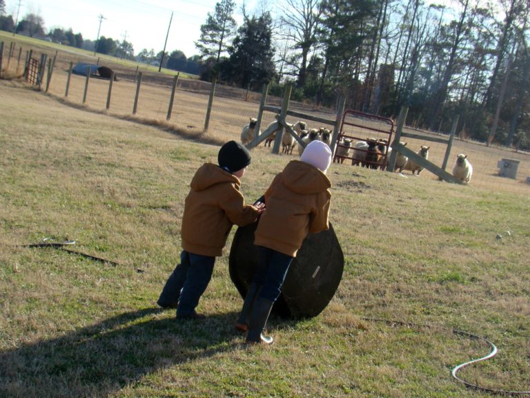 Lessons in Chores » Walking in High Cotton