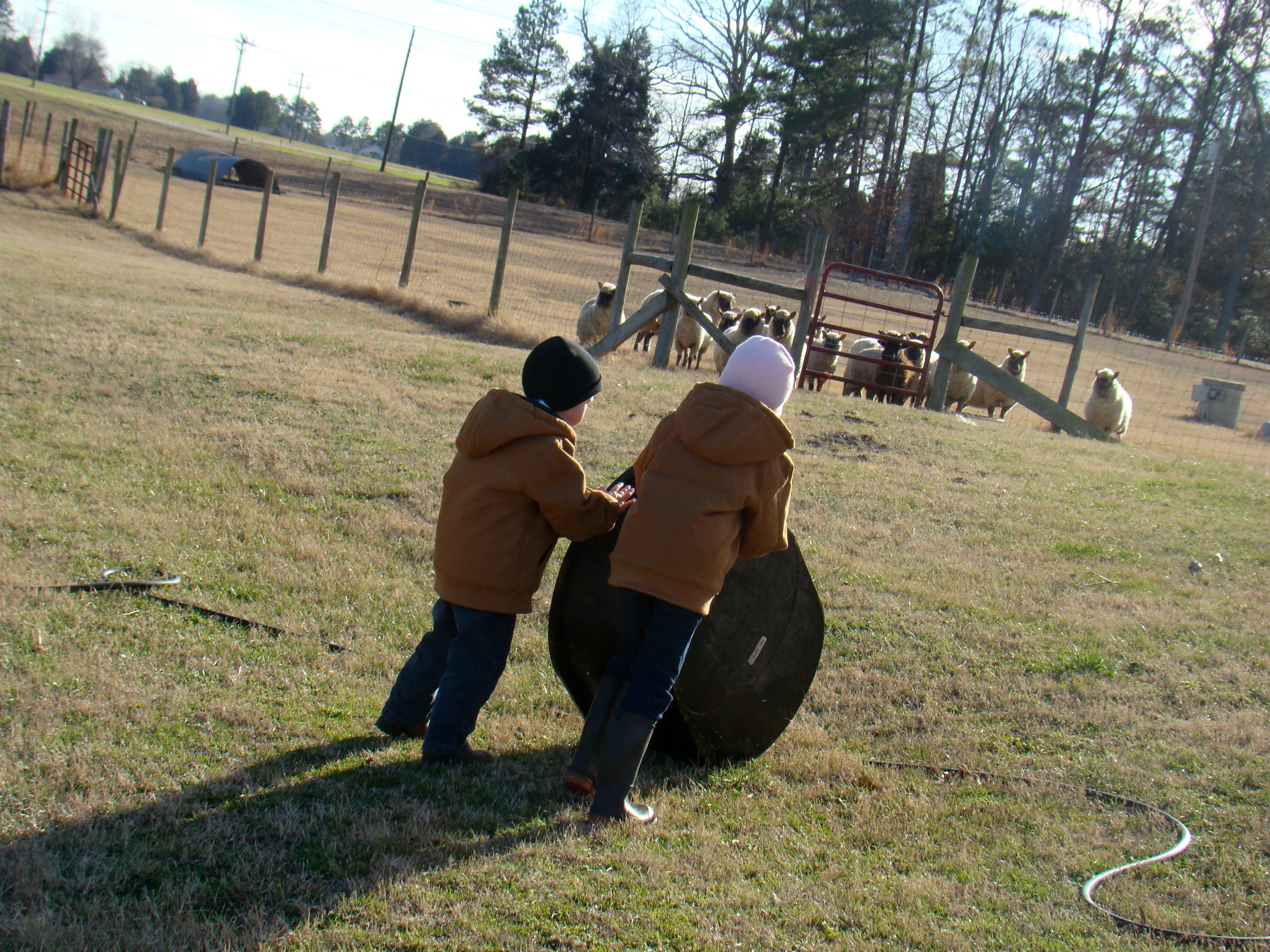Lessons in Chores » Walking in High Cotton