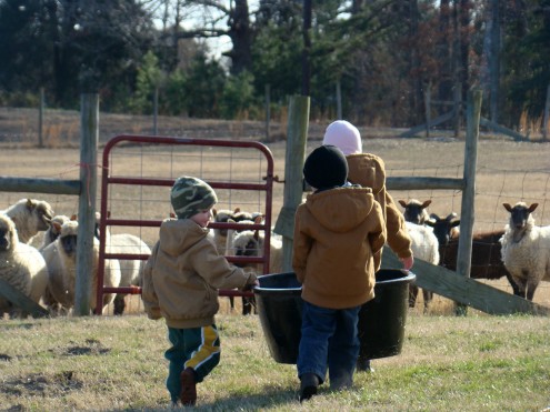 Lessons in Chores » Walking in High Cotton