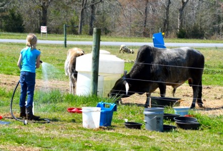 What Kind of Spring Cleaning Does a Farm Need?...the Daily Farm ...