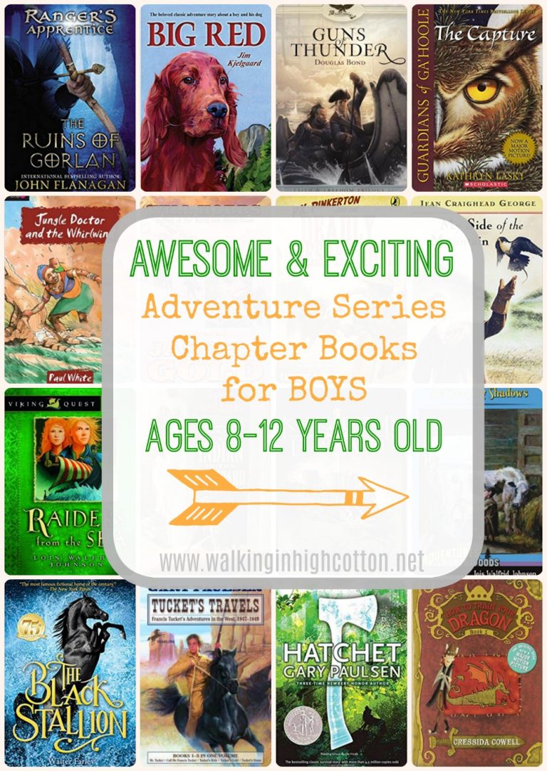 25 Adventure Series Chapter Books For Young Boys » Walking in High Cotton