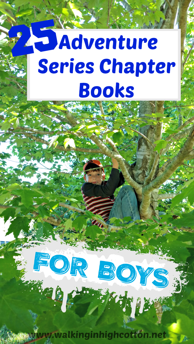 25 Adventure Series Chapter Books For Young Boys » Walking in High Cotton