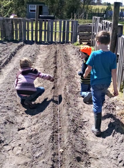 Easy Pallet Garden Fence » Walking in High Cotton