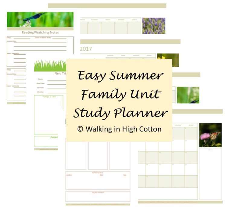 How to Plan a Family Unit Study for Fun Summer Learning » Walking in ...