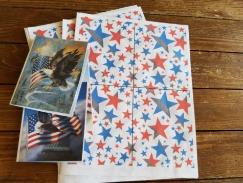 DIY 50 State Passports...with FREE Printable » Walking in High Cotton