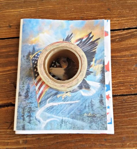 DIY 50 State Passports...with FREE Printable » Walking in High Cotton