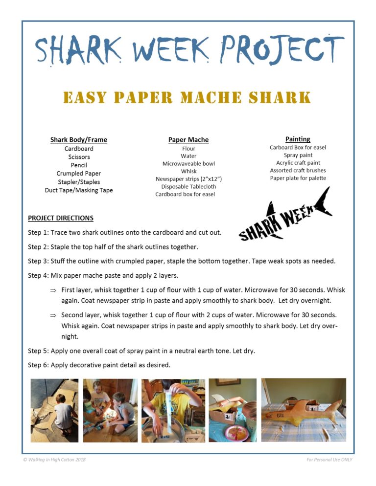 How to Make a Paper Mache Shark for Shark Week » Walking in High Cotton