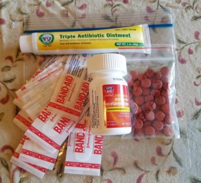 Family Vehicle First Aid Kit...with Printable Checklist » Walking in ...