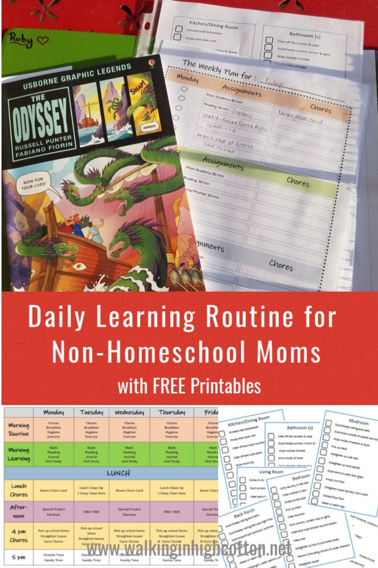 Daily Learning Routine for Non-Homeschooling Moms » Walking in High Cotton