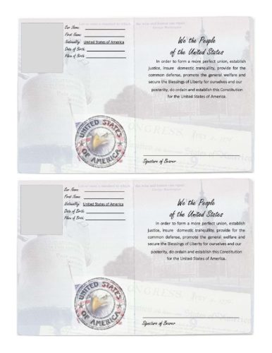 DIY 50 State Passports...with FREE Printable » Walking in High Cotton