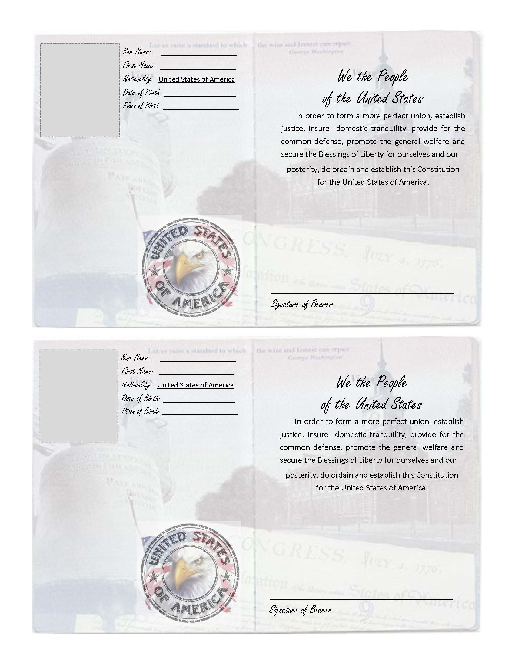 DIY 50 State Passports...with FREE Printable » Walking in High Cotton