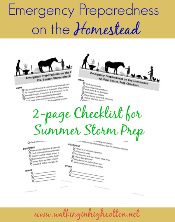 How To Prep for Summer Storms, Emergency Preparedness Checklist for the ...